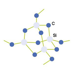 Chicago Section American Chemical Society - Newsletter